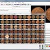 Coin Collecting Software - EzCoin from SoftPro