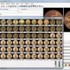 Coin Collecting Software - EzCoin from SoftPro