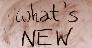 Latest News & Updates » EzStamp